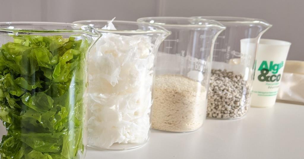 Somater and Eranova unveil algae-based polymer packaging | Packaging Europe