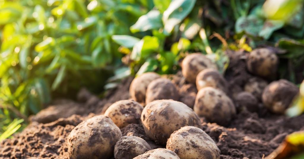 Plastpom introduces 'compostable' and 'biodegradable' packaging ...