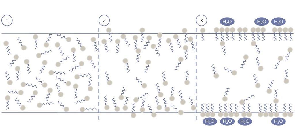 How to enhance your thin-wall packaging PP formulation with a ...
