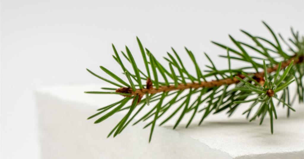 Plans to expand bio-based packaging foam portfolio announced by Stora ...