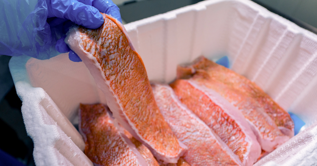 Moulded fibre container for transporting seafood developed by PAPACKS ...
