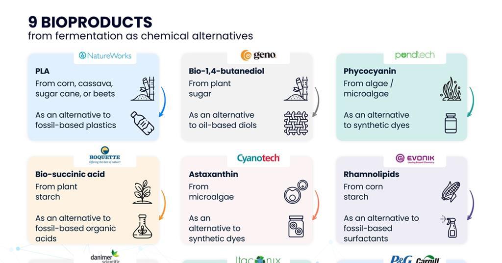 Fermentation chemicals: A green revolution in bioplastics? | Article ...