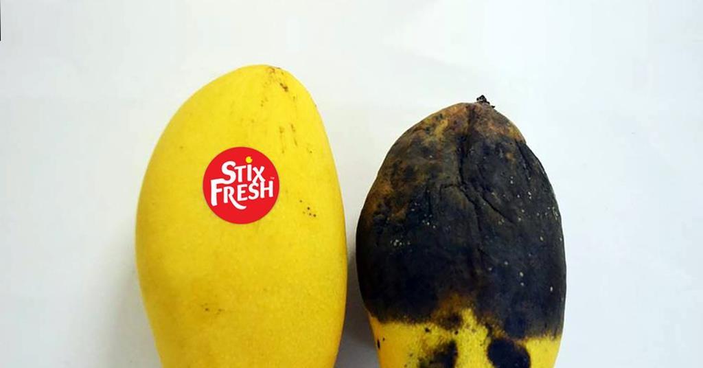 Finalist interview: Ryp Labs’ StixFresh | Article | Packaging Europe