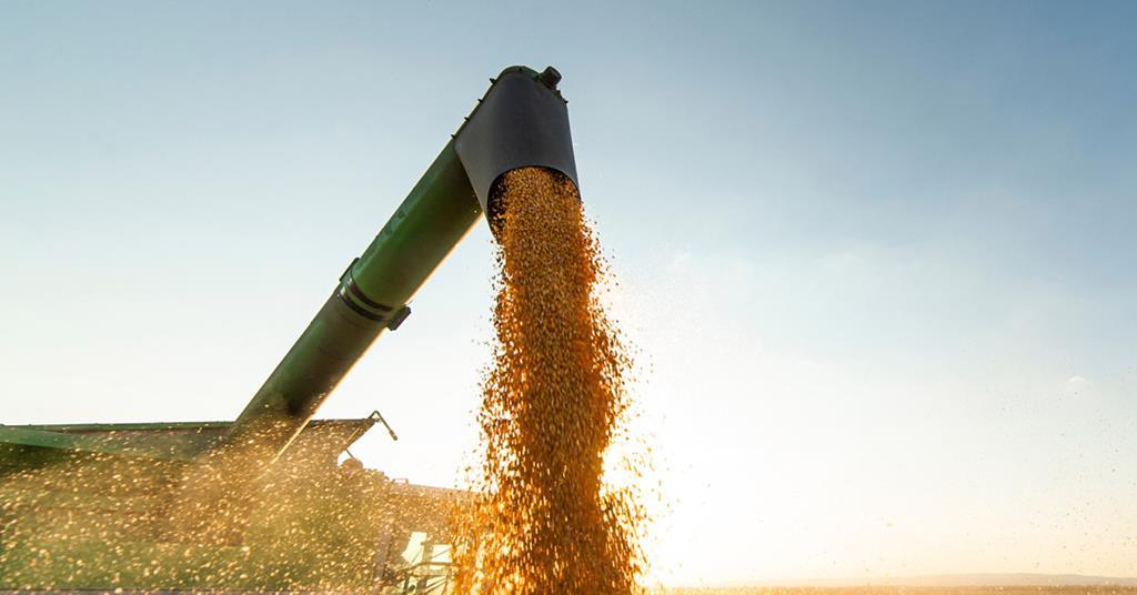 Project launched to produce multipurpose bioplastic from soy residues ...