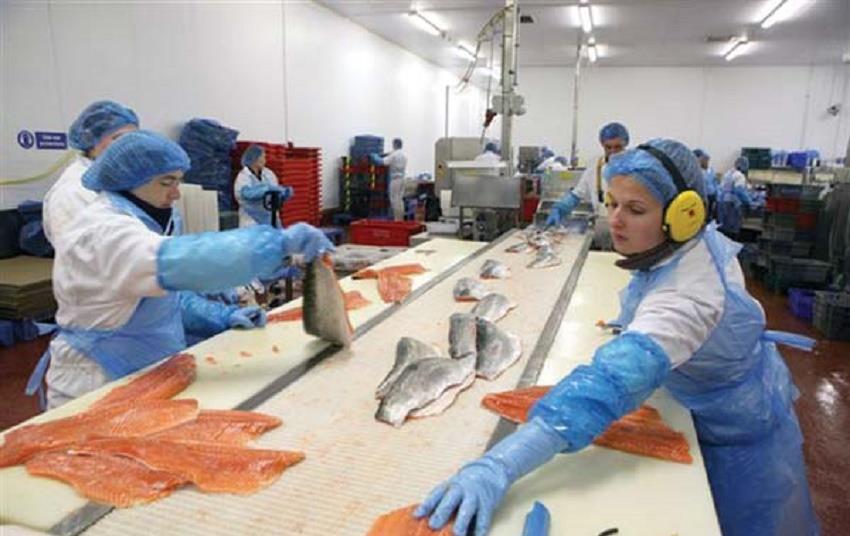 Dawnfresh Seafoods Automate for M&S Code of Practice Compliance ...