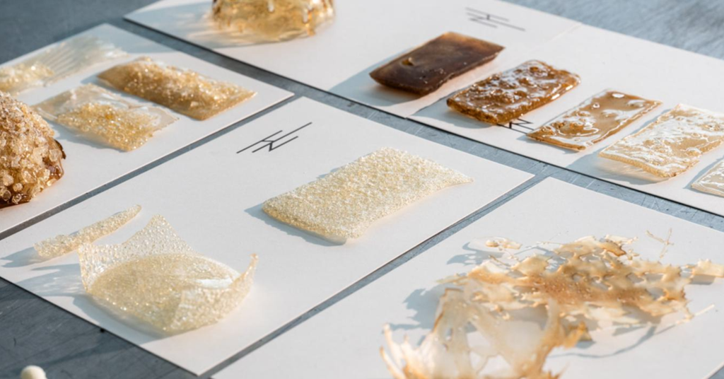 Avantium launches plant-based PEF polymer Releaf brand for packaging ...