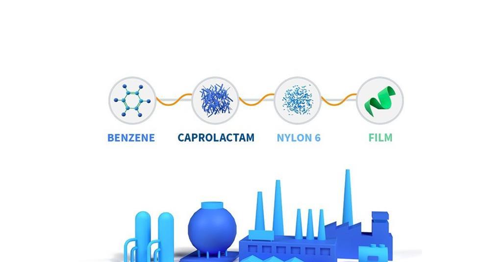 Introducing DOMO Film Solutions and Nyleen™ new sustainable BOPA and CPA films | Article ...