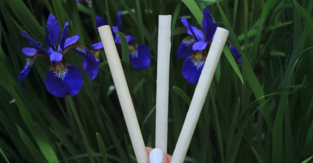 Sustainability Awards 2025 Finalist Interview: Nano cellulose straws ...