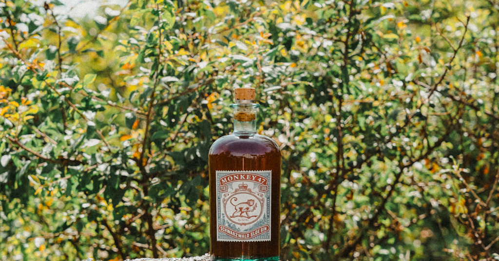 Monkey 47 gin introduces bottle made from 95% PCR | Article | Packaging ...