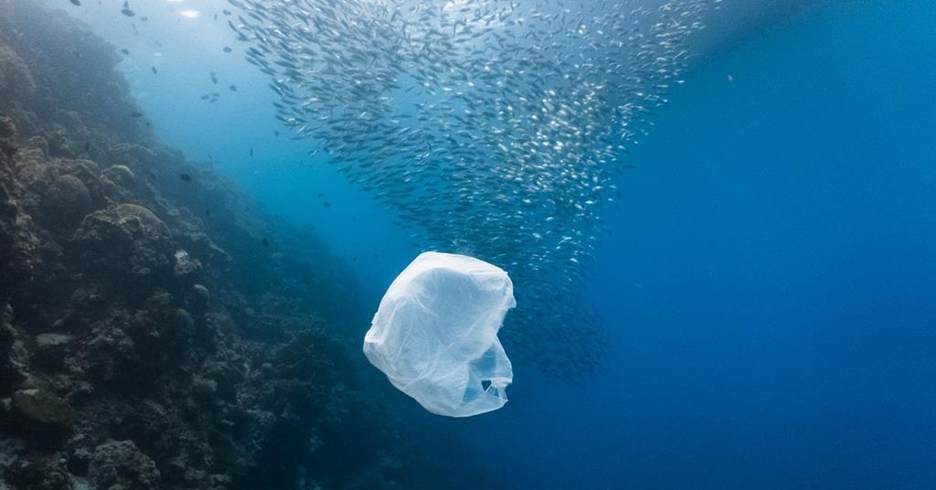 What’s up with SUP? | Article | Packaging Europe