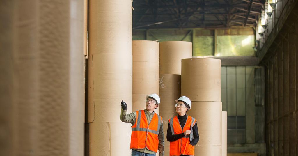 Cepi launches LCA tool for paper products | Article | Packaging Europe