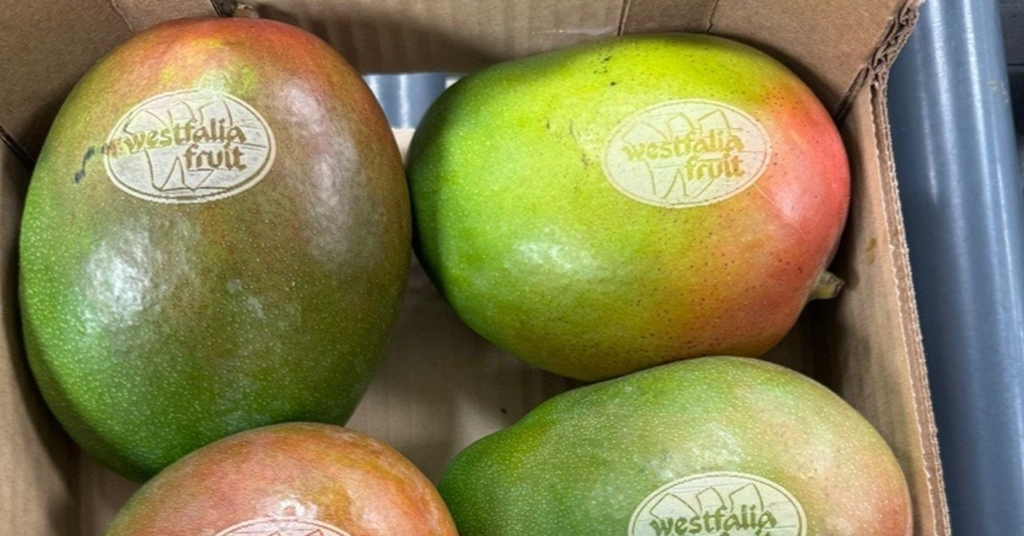 Laser-etched mangoes: innovative fruit labelling with product info on ...