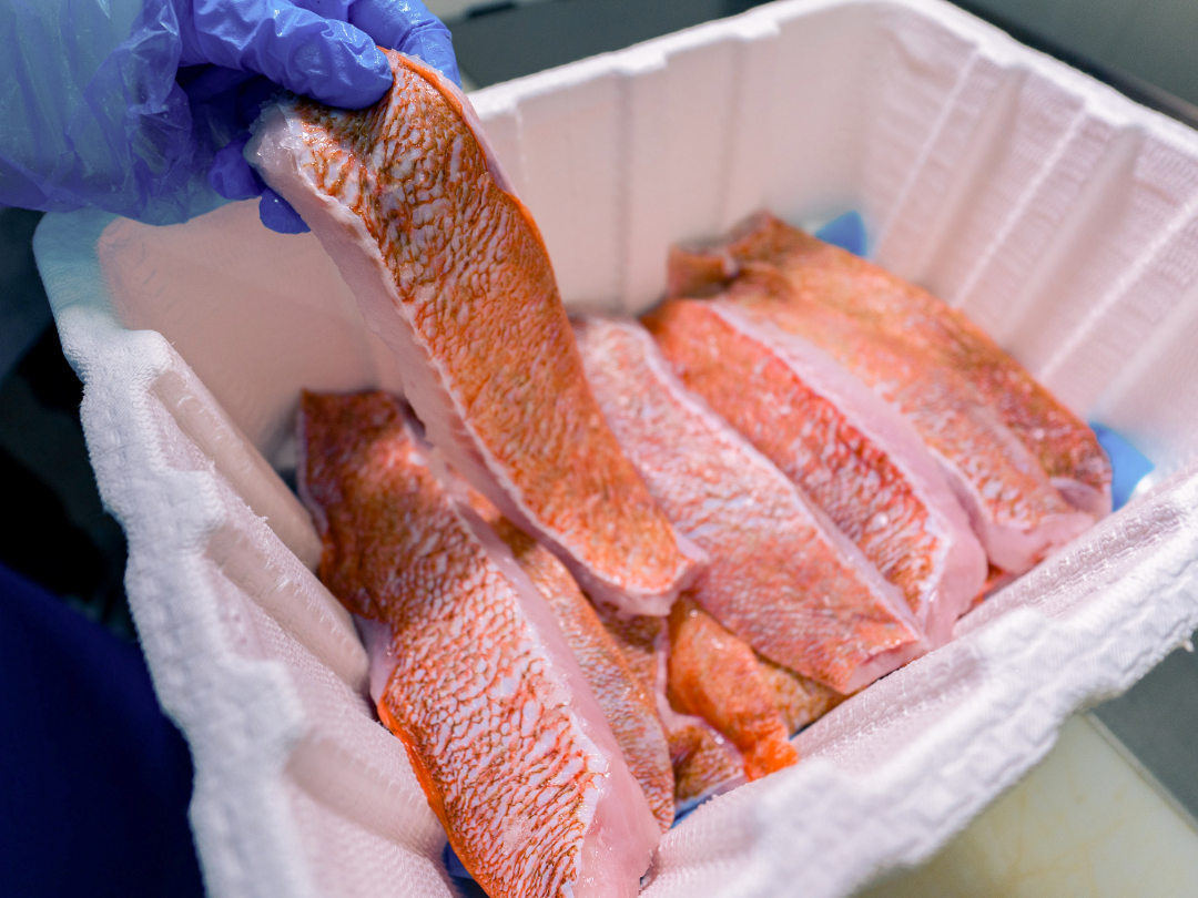 Moulded fibre container for transporting seafood developed by PAPACKS ...