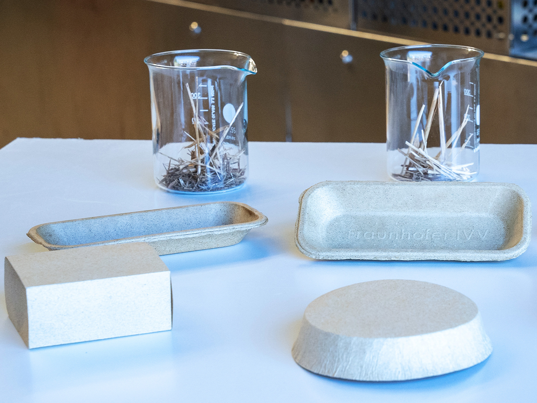 Fraunhofer Institute develops non-food packaging from peatland plants ...