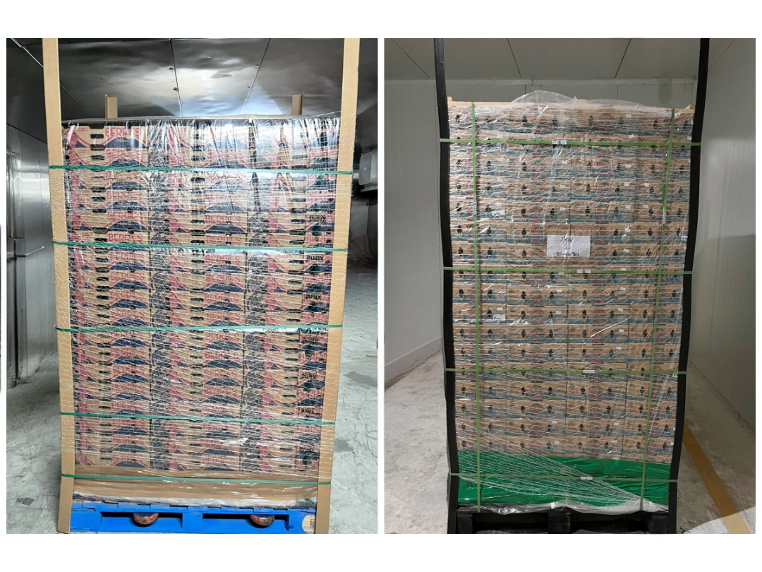 Modified atmosphere pallet shrouds to keep berries fresh from farms to ...