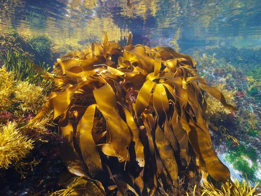 The story behind Notpla’s €23 million funding round | Article ...