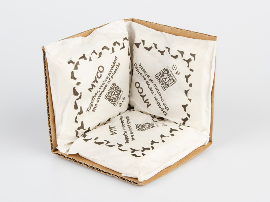 Myco develops mushroom-based biodegradable alternative to polystyrene ...