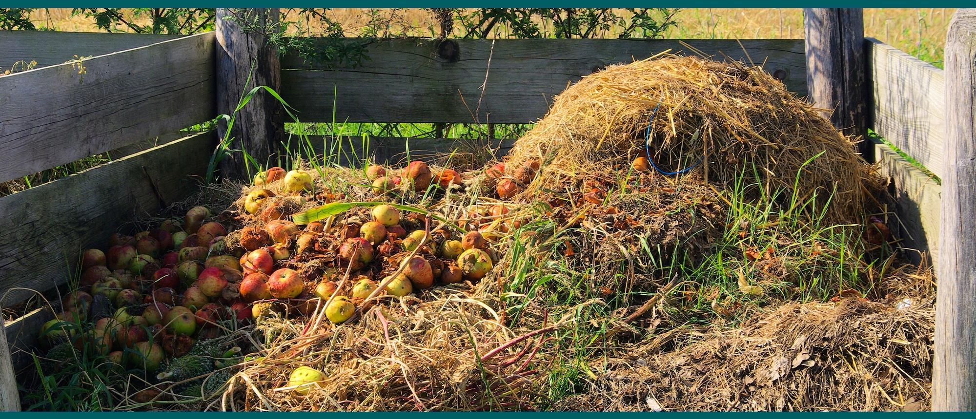 Improving packaging sustainability through the valorization of ...