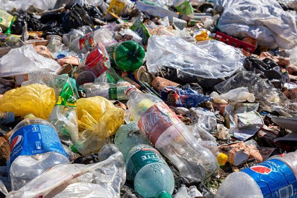 A sustainable future for packaging | Packaging News