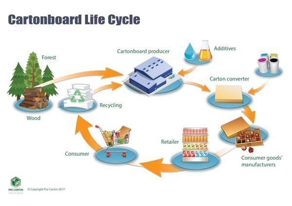 A new study from Pro Carton on the CO2 footprint of carton packaging ...