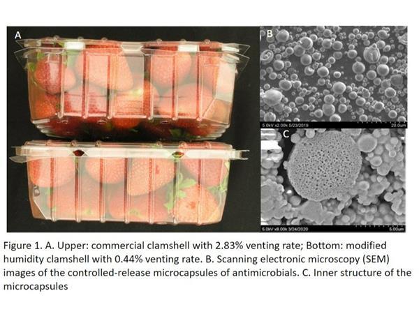 Sustainability Awards 2023 Finalist Interview: USDA-ARS’ clamshell with ...