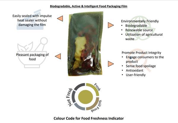 Sustainability Awards 2023 Finalist Interview: UKM and TARUMT’s starch ...