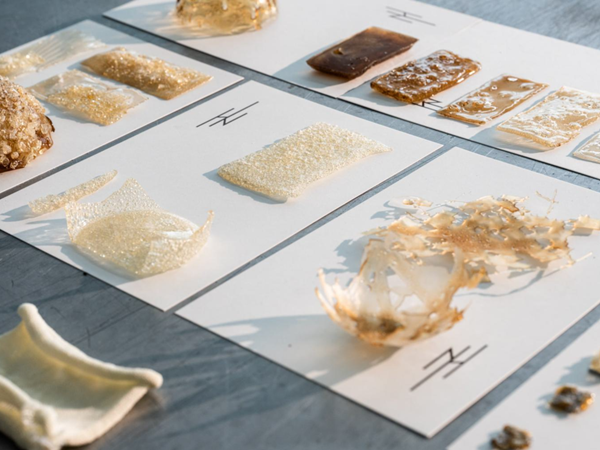 Avantium launches plant-based PEF polymer Releaf brand for packaging ...