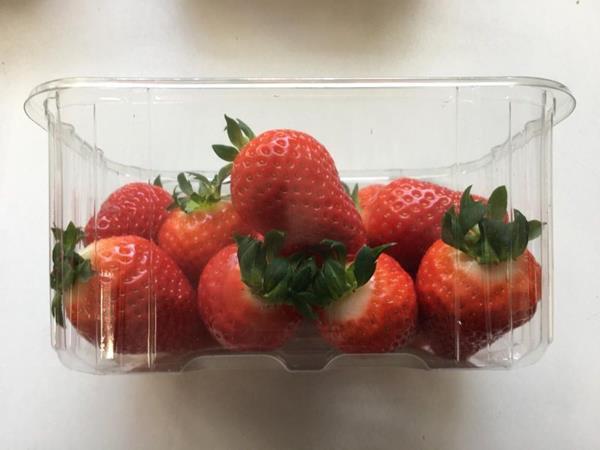 Sharpak presents new strawberry punnet with no bubble pad | Article ...