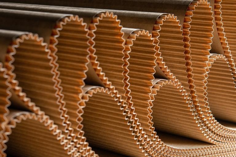 A sustainable future for packaging | Packaging News