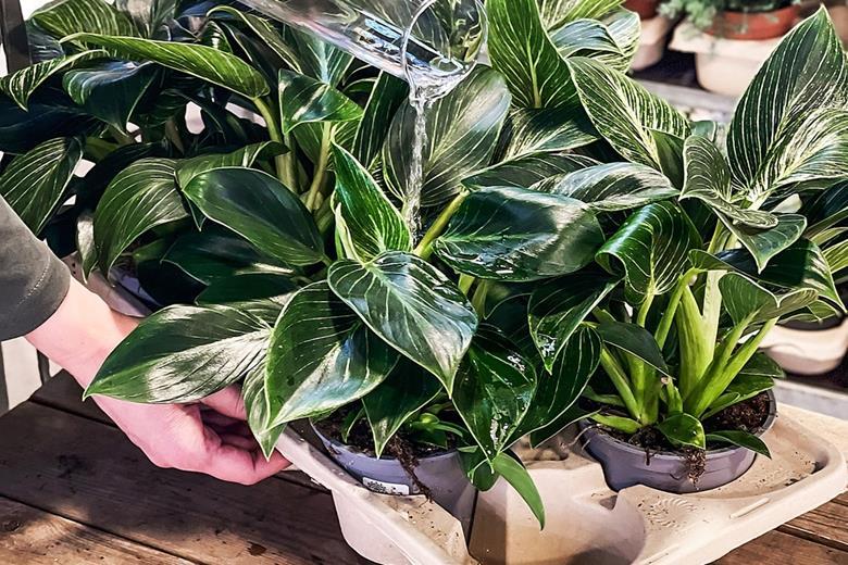 Packaging Europe | A Sustainable Future for Packaging