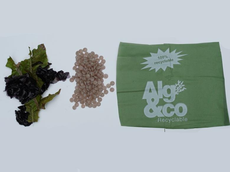 Addressing water pollution from all angles with algae-based plastic ...