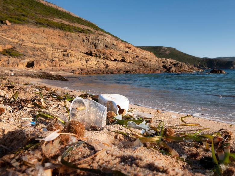 Global survey shows consumer support for single-use plastics ban ...
