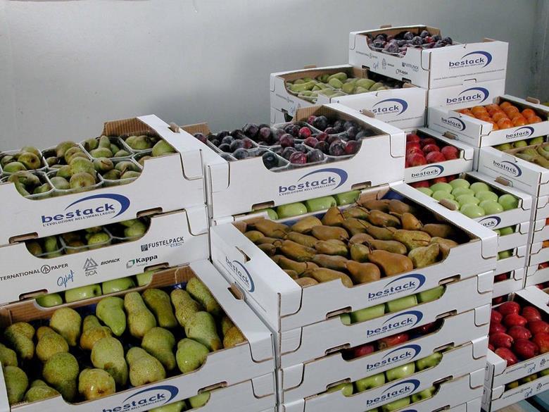 Beyond the Box | Article | Packaging Europe