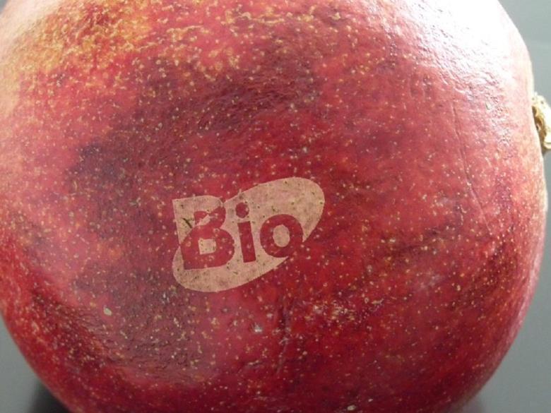 Key considerations when using lasers to code fruit and vegetables ...