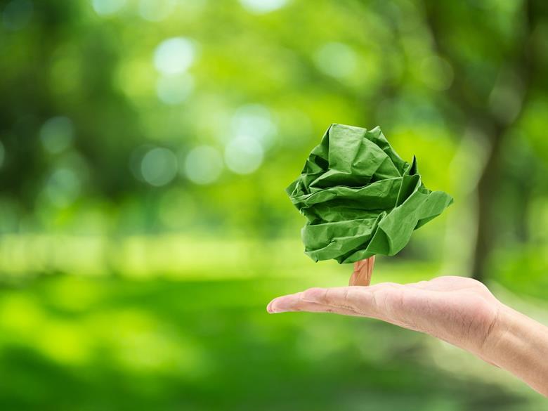 Renewables: The opportunities for fibre-based packaging | Article ...