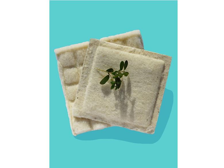 Sheep's wool packaging wins competition | Article | Packaging Europe