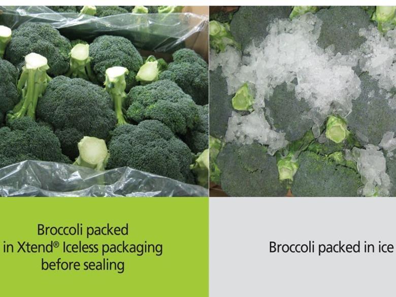 StePac: Taking broccoli packaging out of the ice age | Article ...