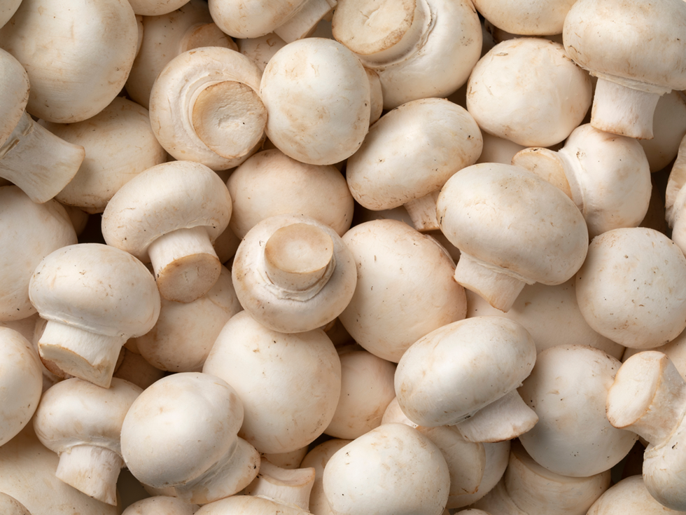 Belgian retailers forego single-use plastics with reusable mushroom ...